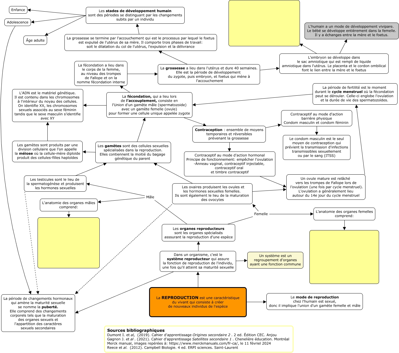 Trame conceptuelle - Daigle-Sindon-Desmarais - V3